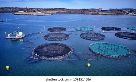 The Types of Aquaculture - The Oyster Encyclopedia