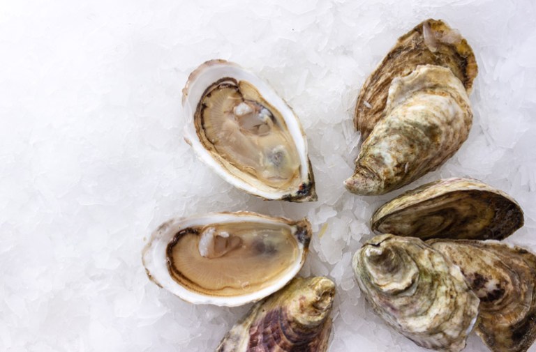 Blish Point Oysters - The Oyster Encyclopedia
