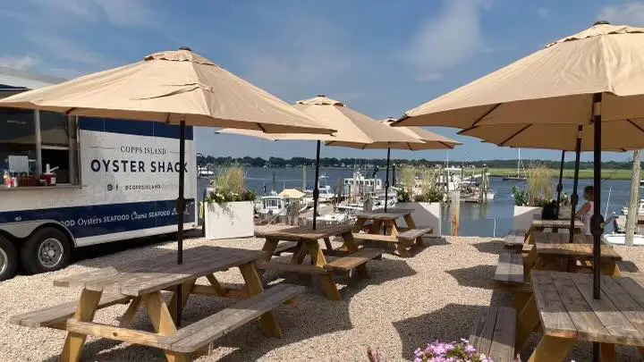 Copps Island Oysters - The Oyster Encyclopedia