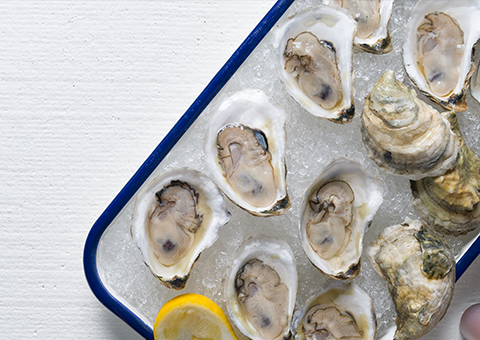 Duxbury Harbor Oysters - The Oyster Encyclopedia