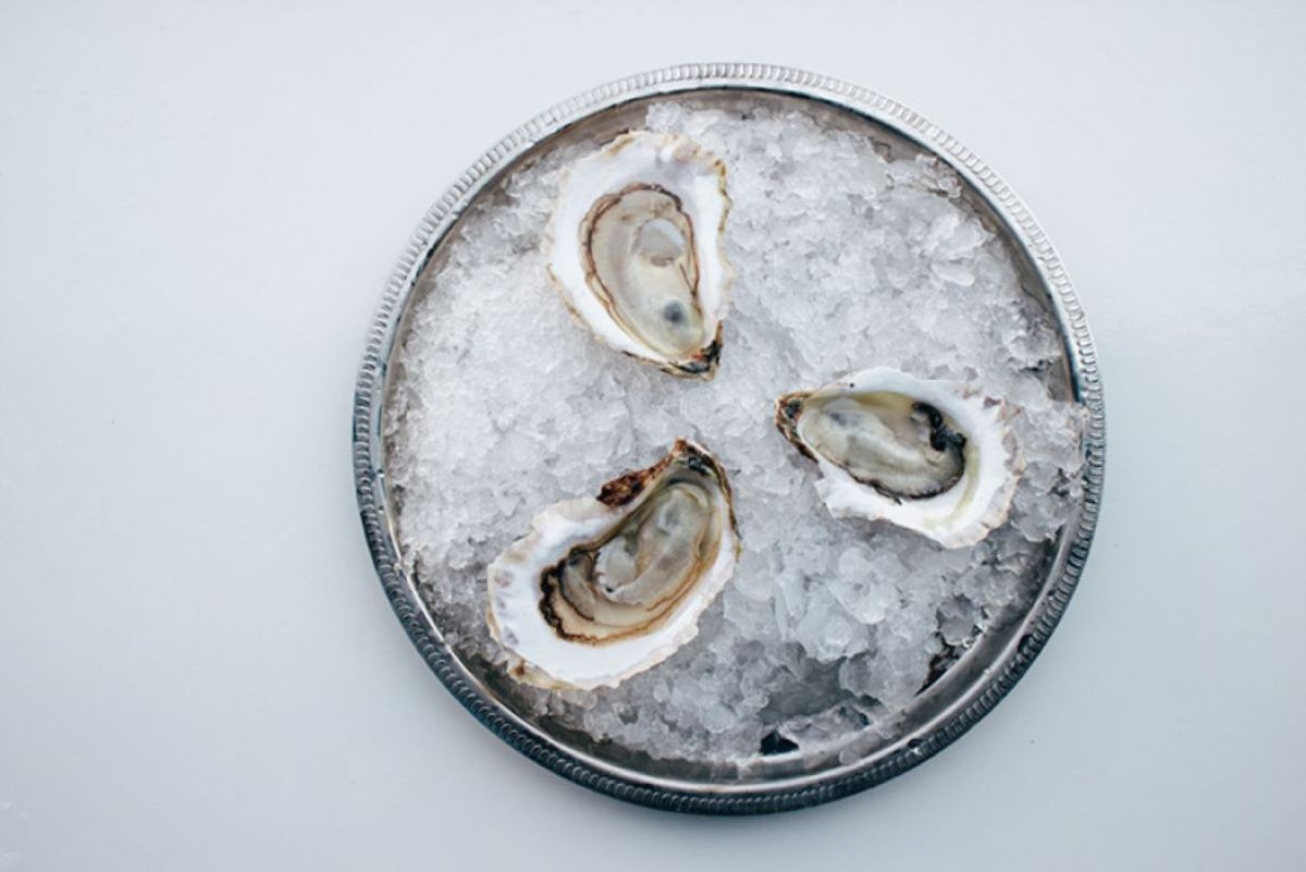 Fiddler's Cove Oysters - The Oyster Encyclopedia
