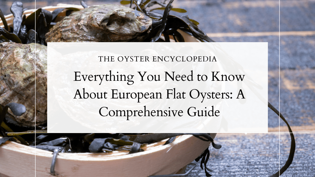European Flat Oysters (Ostrea edulis): The Comprehensive Guide - The ...