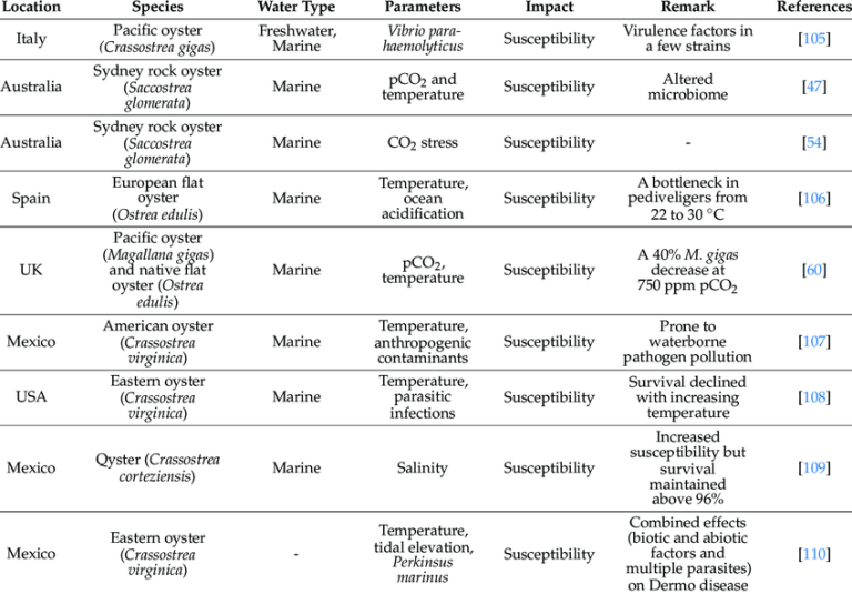 The 5 (Most Common) Oyster Species and The 200 Others You Haven't Heard ...