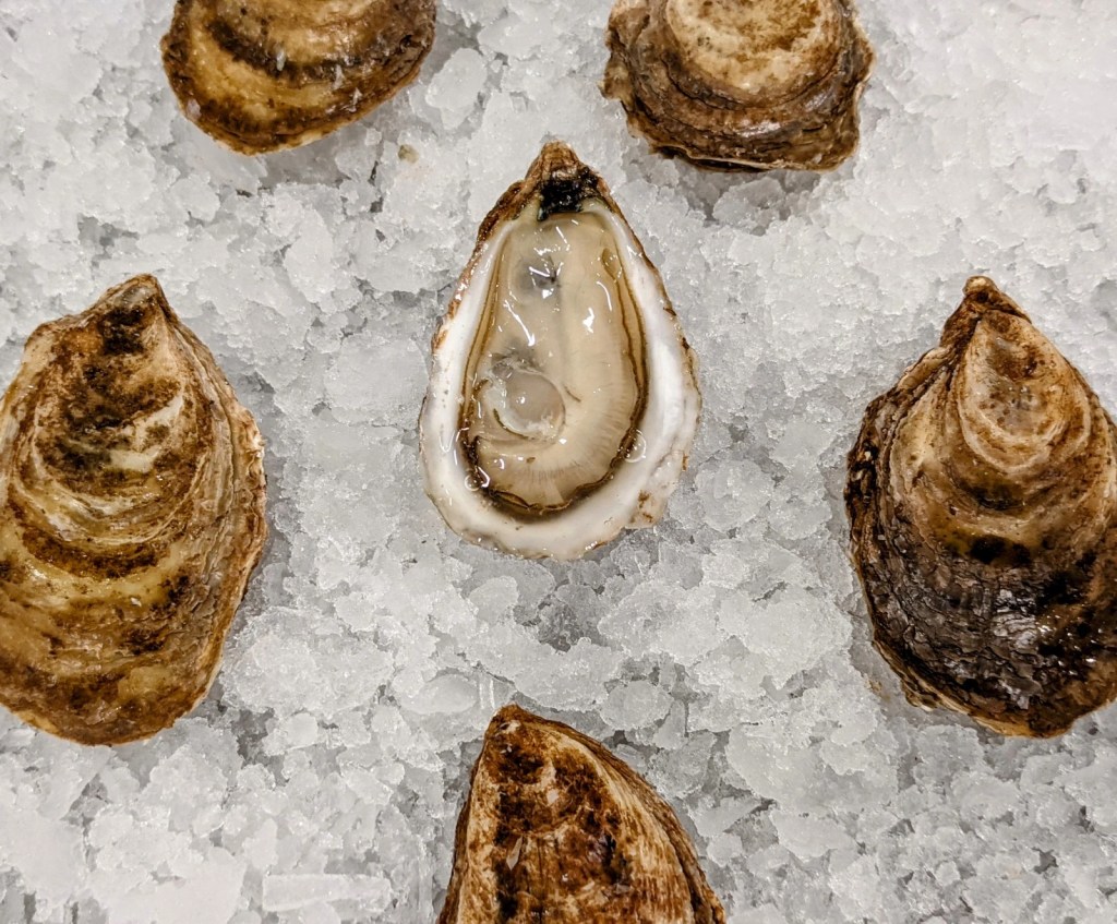 Raspberry Point Oysters - The Oyster Encyclopedia