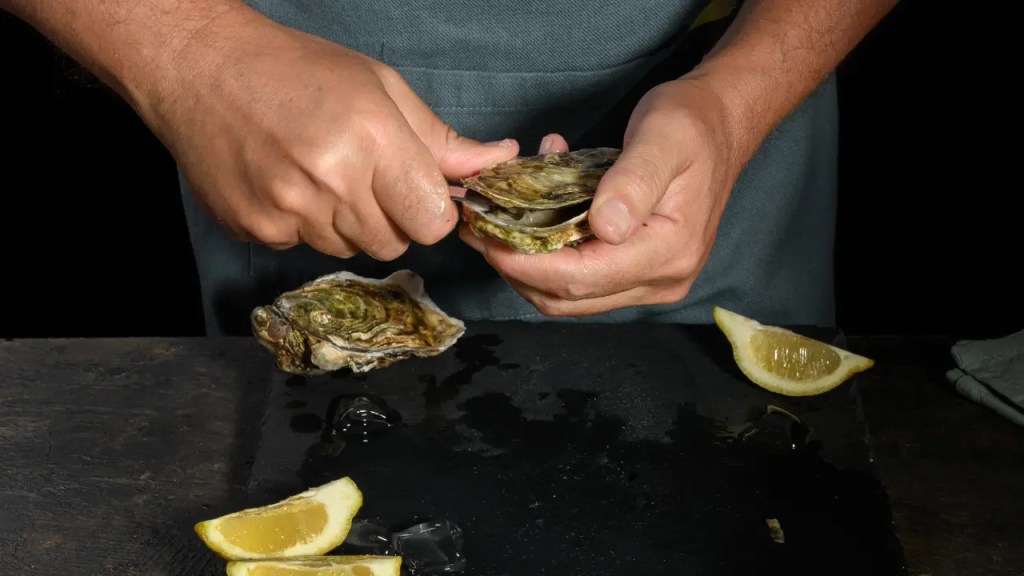 Mastering the Art of Shucking Oysters: A Step-by-Step Guide - The ...
