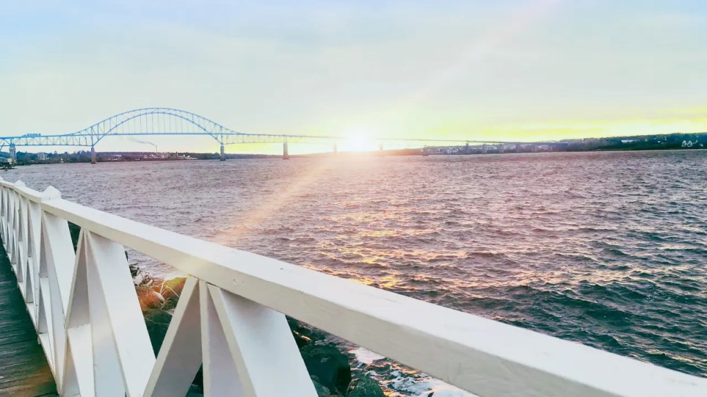 French Kiss Oysters - The Oyster Encyclopedia