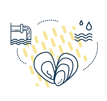 Great South Bay Shellfish Hatchery: A Shiny New Hope - The Oyster ...