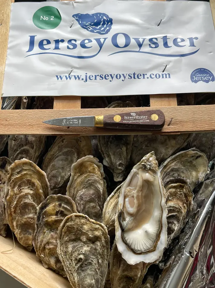 Jersey Oysters - The Oyster Encyclopedia