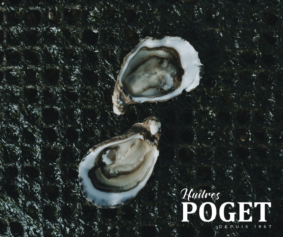 Damariscotta River Oysters - The Oyster Encyclopedia